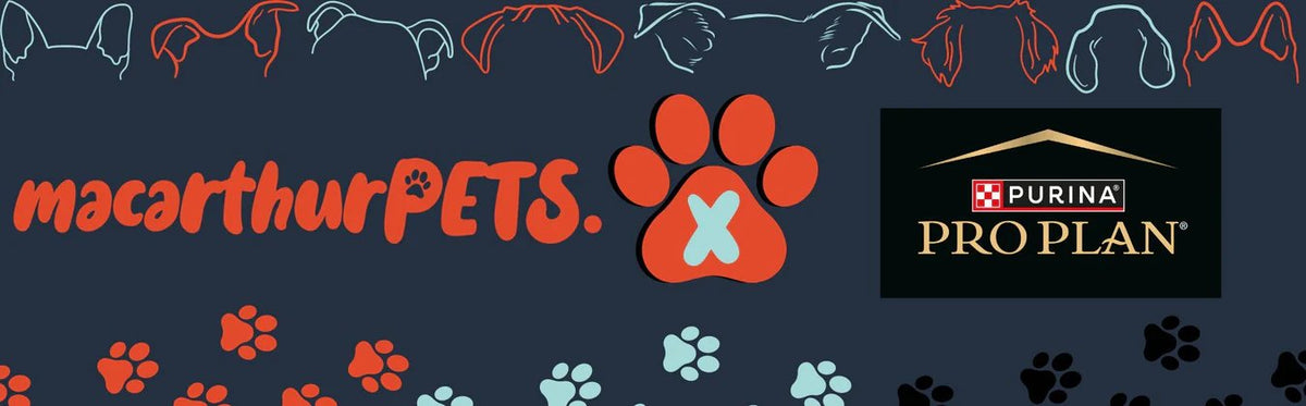 CAT — Macarthur Pets