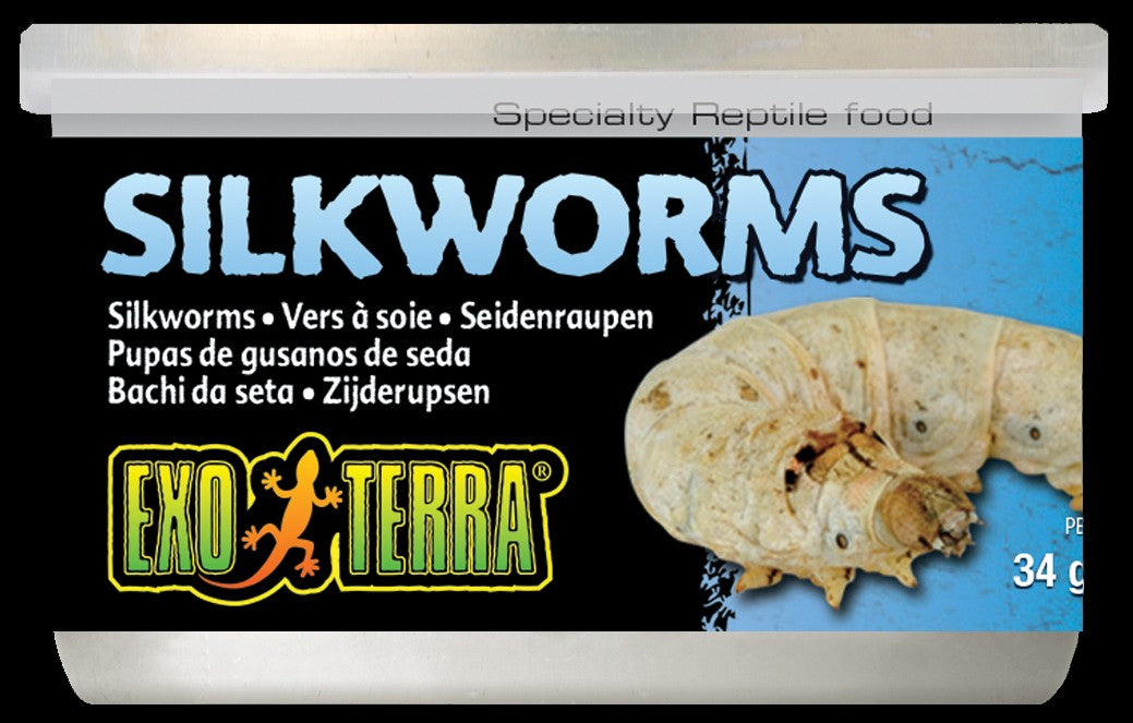 Exo Terra Canned Silk Worms — Macarthur Pets