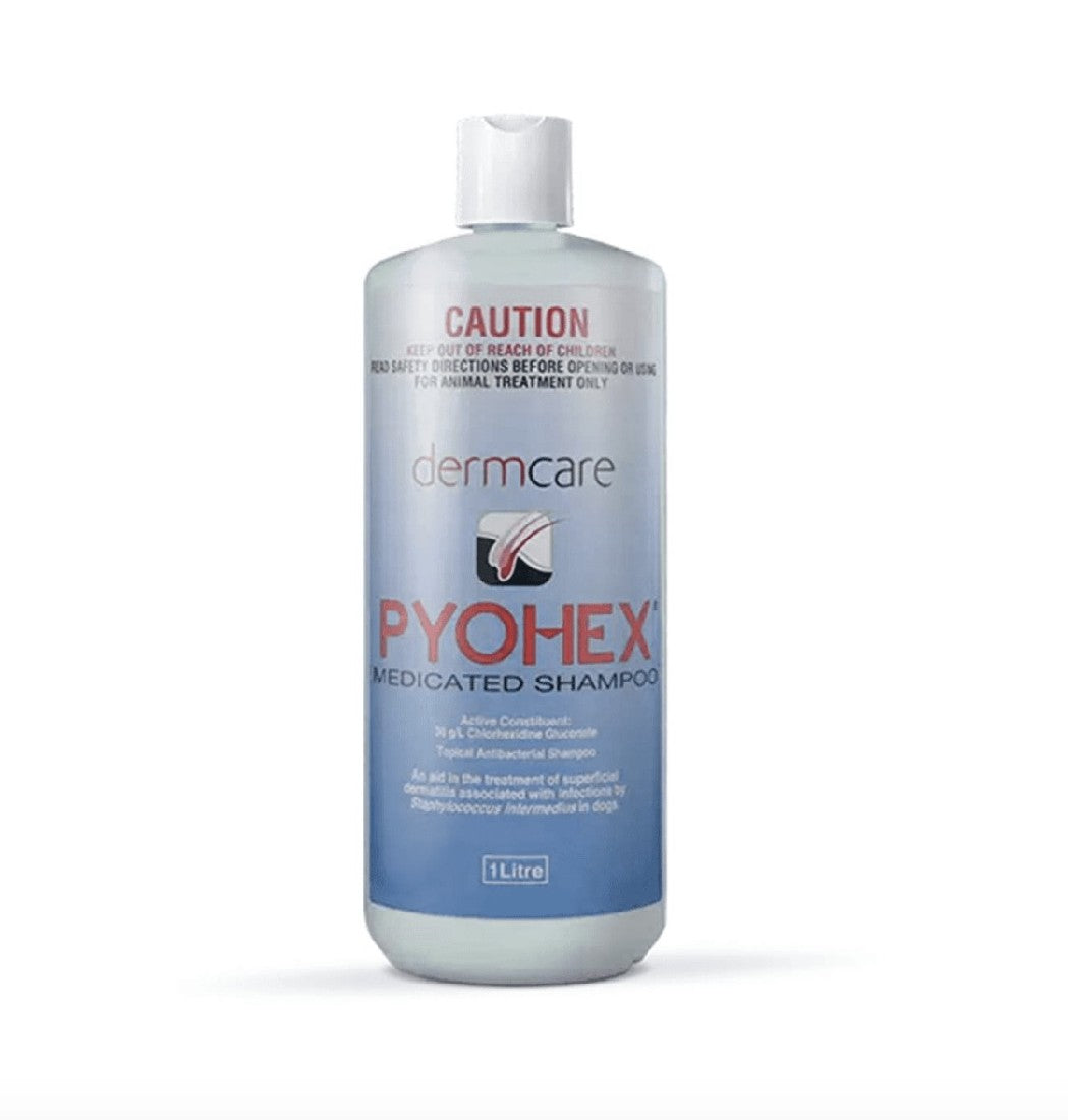 Dermcare Pyohex Medicated Shampoo — Macarthur Pets